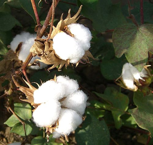 News Detail | CAWa - Central Asian Water